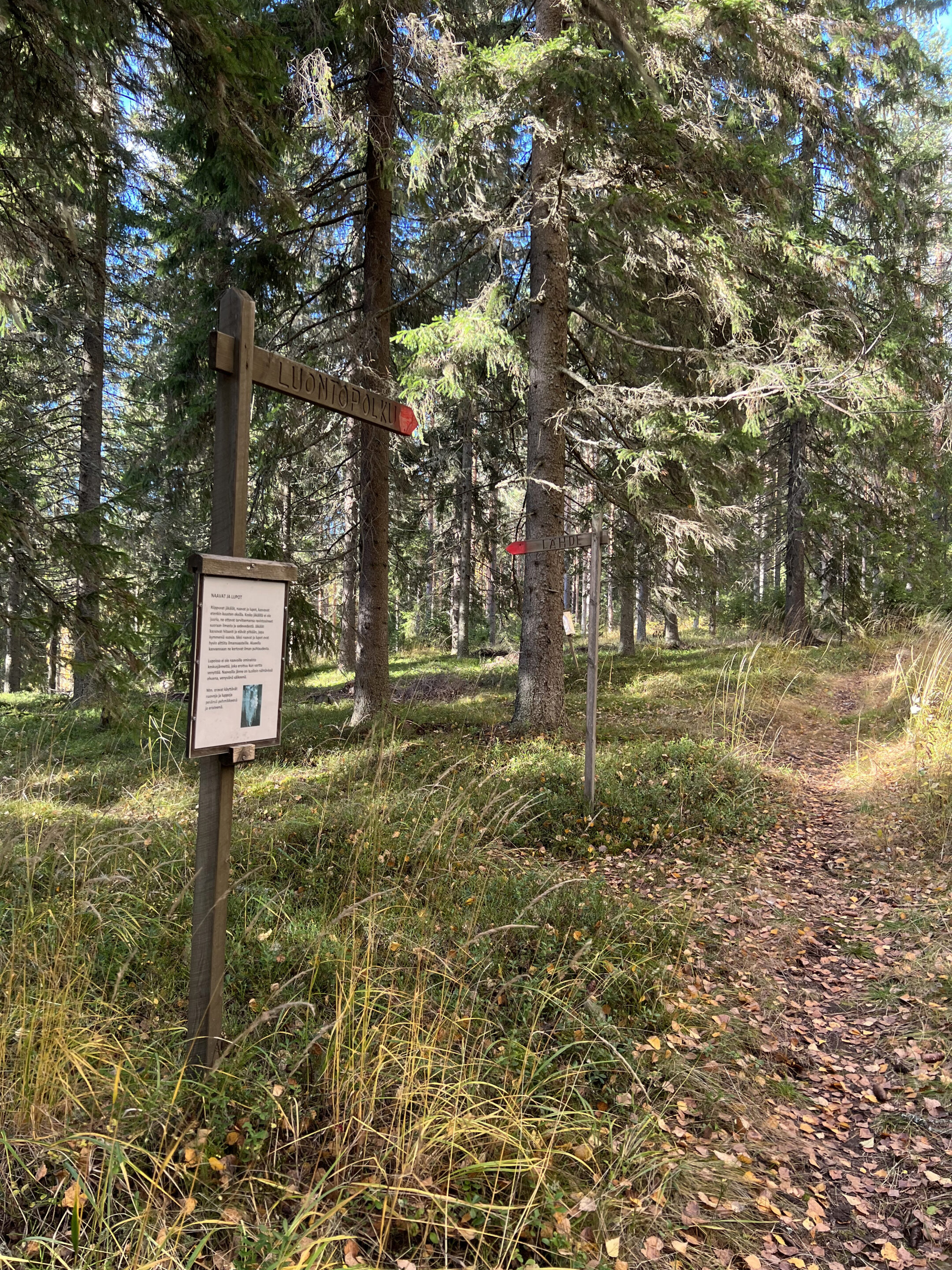 Visit Hankasalmi | Hankasalmen kunta